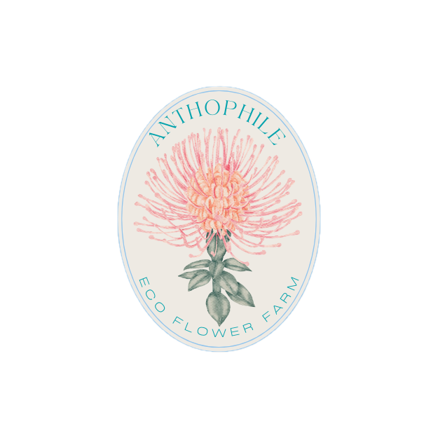 Apparel and Accessories – Anthophile